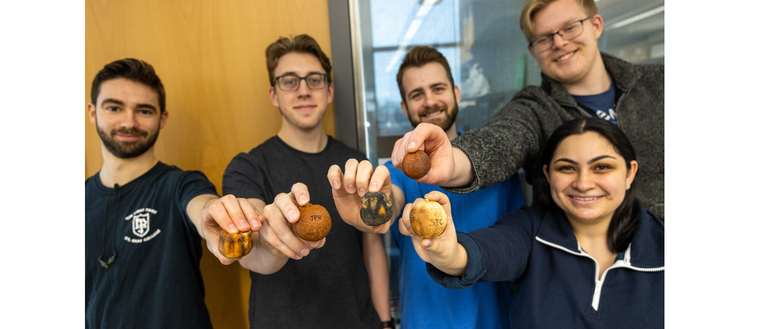 Potthoff Lab | The University of Iowa